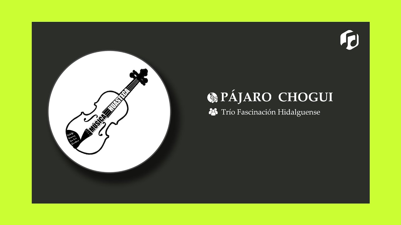 PÁJARO CHOGUI TRÍO FASCINACIÓN HIDALGUENSE - YouTube