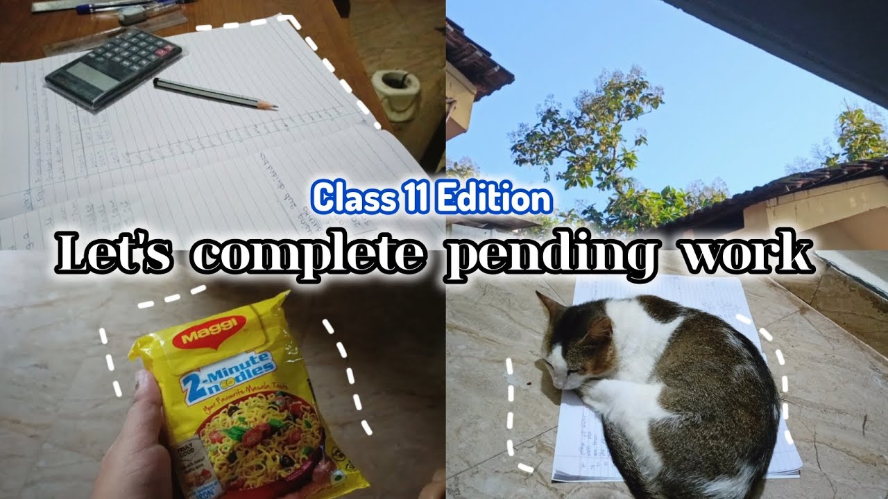 Productive days as class 11 student | completing my all pending work ...