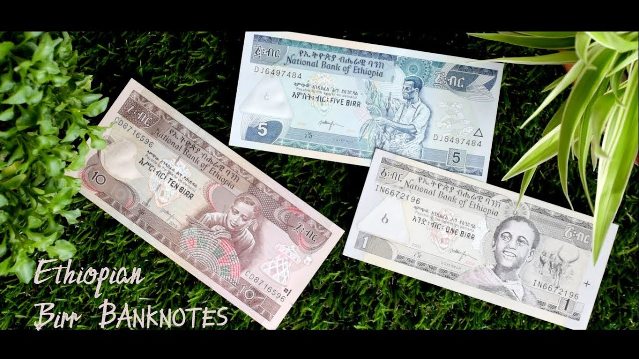 Ethiopian Birr Banknote Collection Ethiopia East Africa YouTube ethiopian-birr-banknote-collection-ethiopia-east-africa-youtube