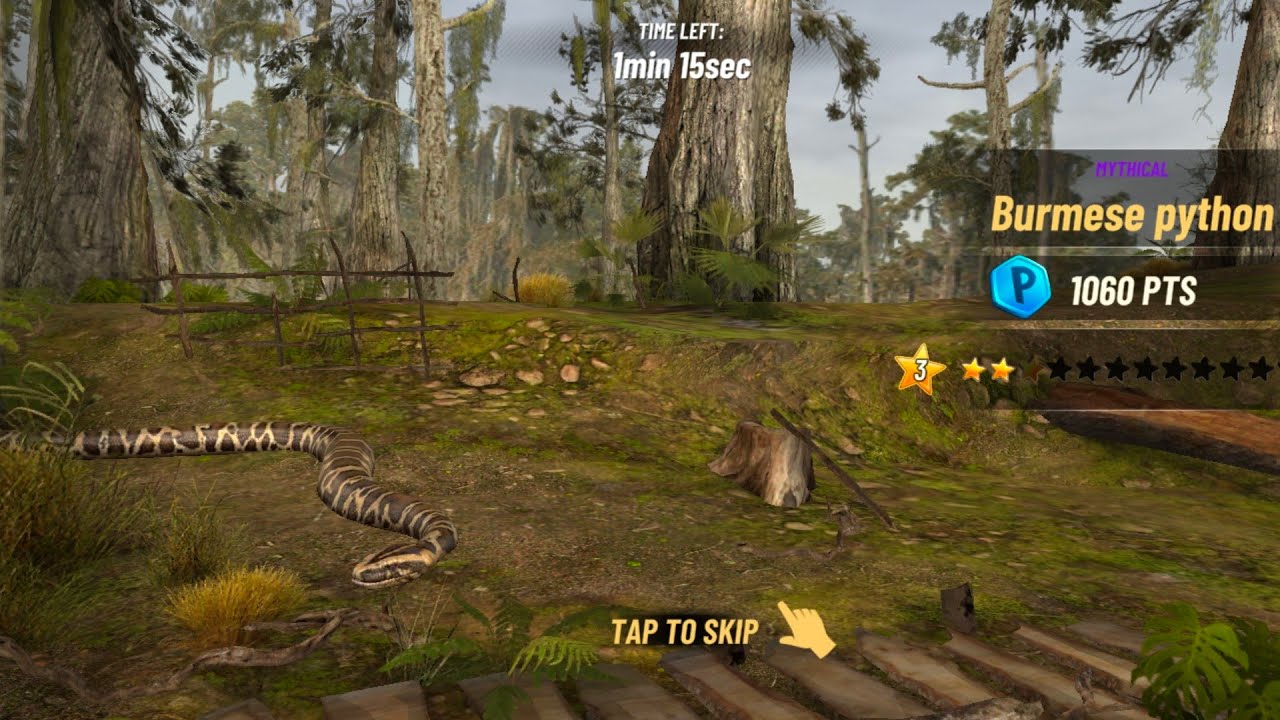 Hunting Clash-- Mystic Burmese Python in Everglades @ngghost3681 ...