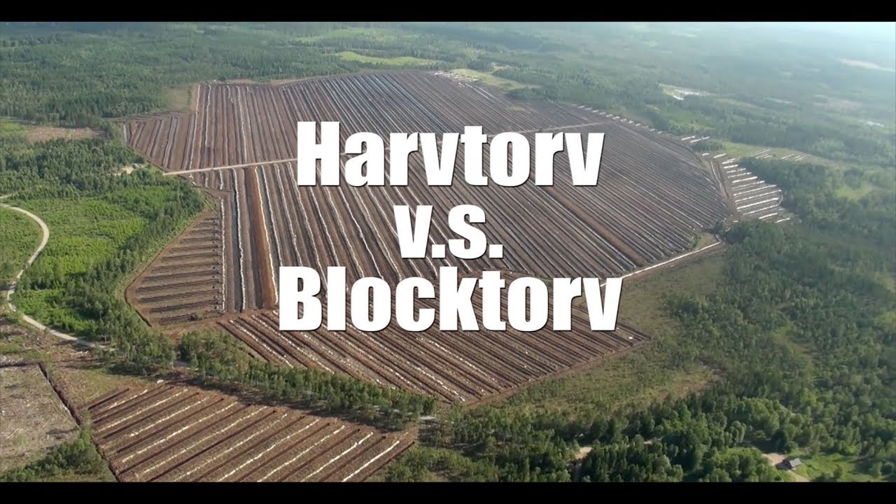 Harvtorv Blocktorv - YouTube