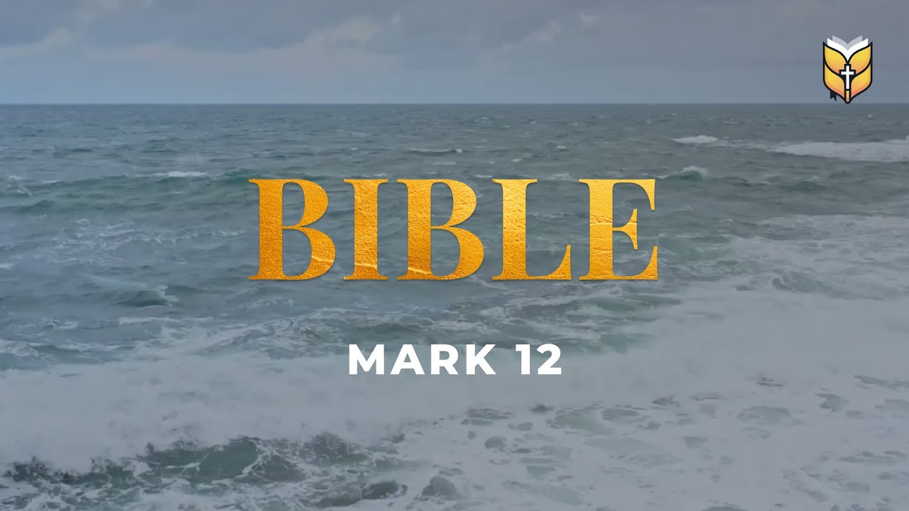 Mark 12 - Holy Bible (NIV) #biblevision - YouTube