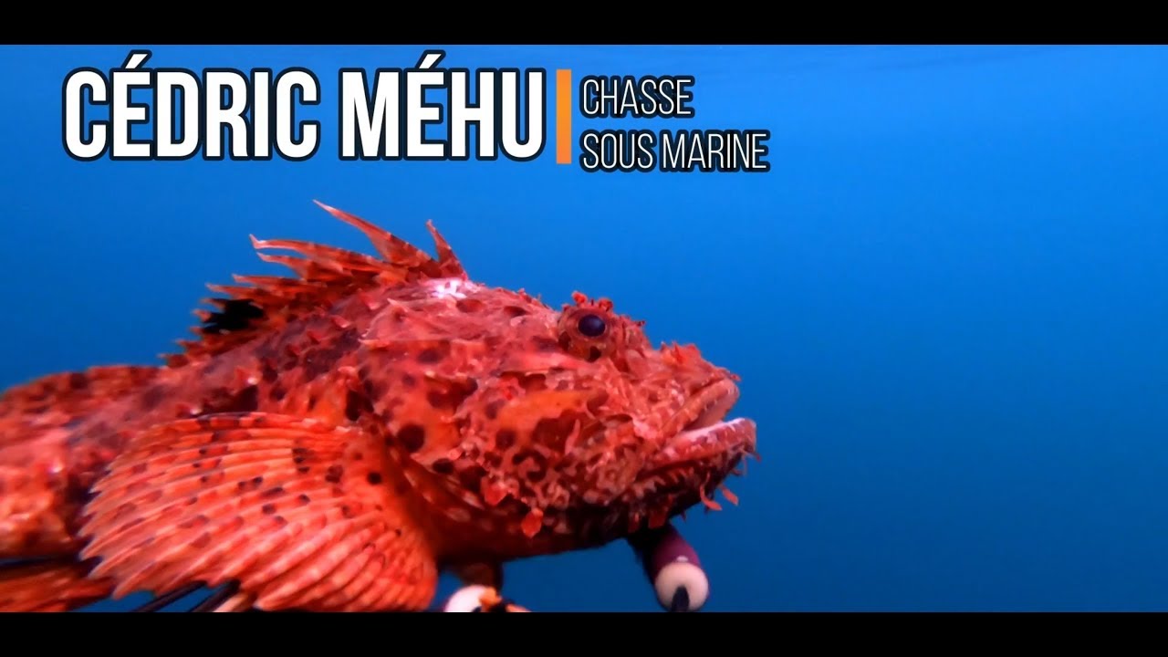 CHASSE À L'INDIENNE SUR CASSIS - YouTube