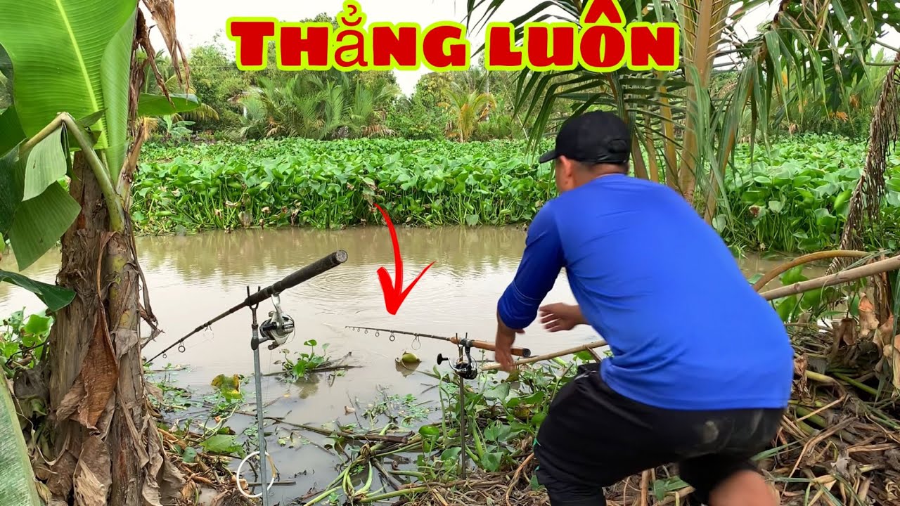 Câu Cá Tra Sông - Cá Ăn Giật Dính Liên Tục Rồi | Fishing - Miền Tây ...