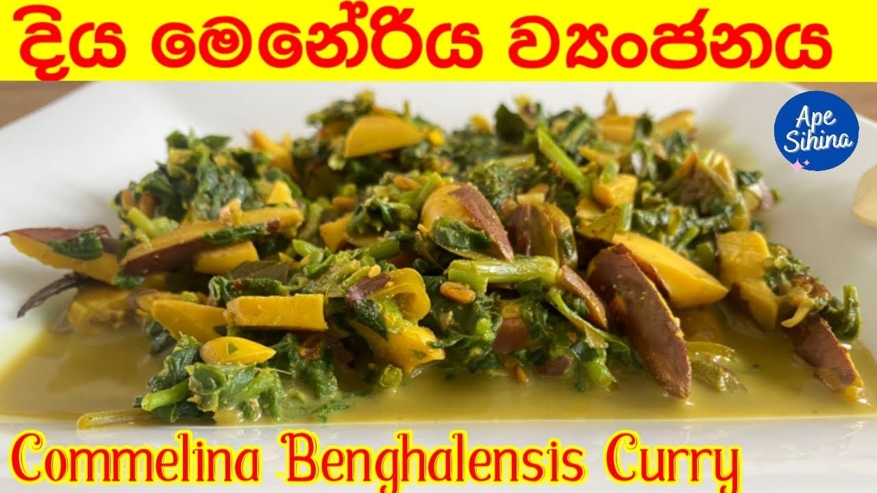 දිය මෙනේරිය ව්‍යංජනය | Diya Meneri Curry | Diya Meneriya | දිය මෙනේරි ...