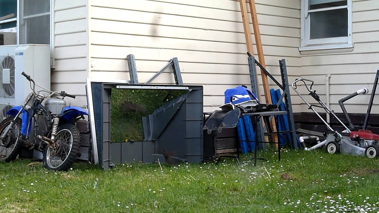 Derp-Bird and the TV Mirror - YouTube