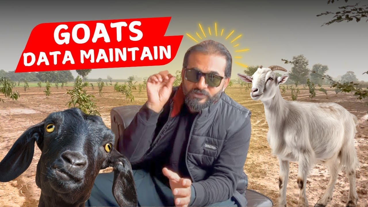 Goat EXPERT Shares Top Data Maintenance Secrets - YouTube