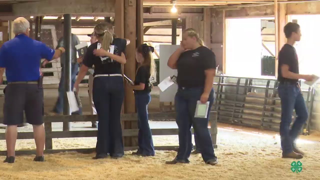 2020 Parke County Fair Master Showmanship - YouTube