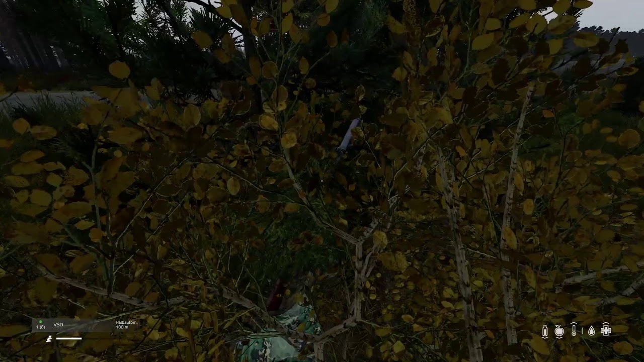 DayZ Arena - YouTube