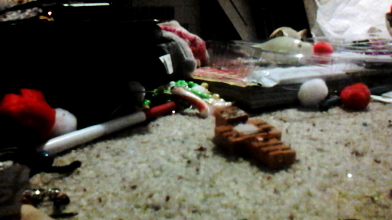 When Freddy Fazbear gets possessed - YouTube