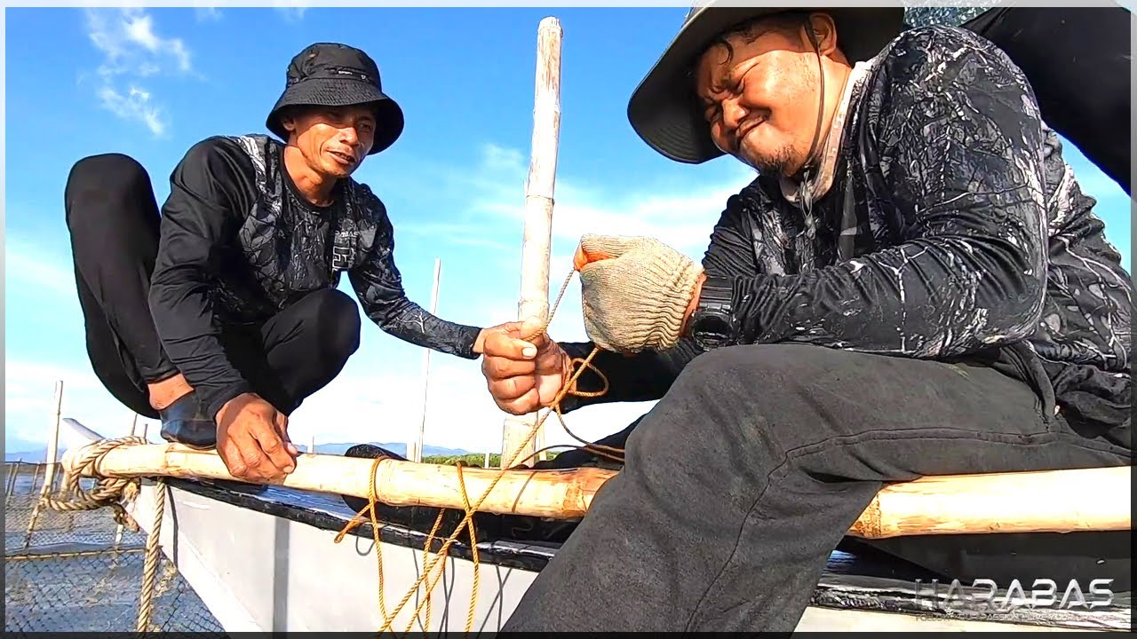 EP221-Part2 - Hunt for Malabanos | Catch & Cook | Occ. Mindoro - YouTube
