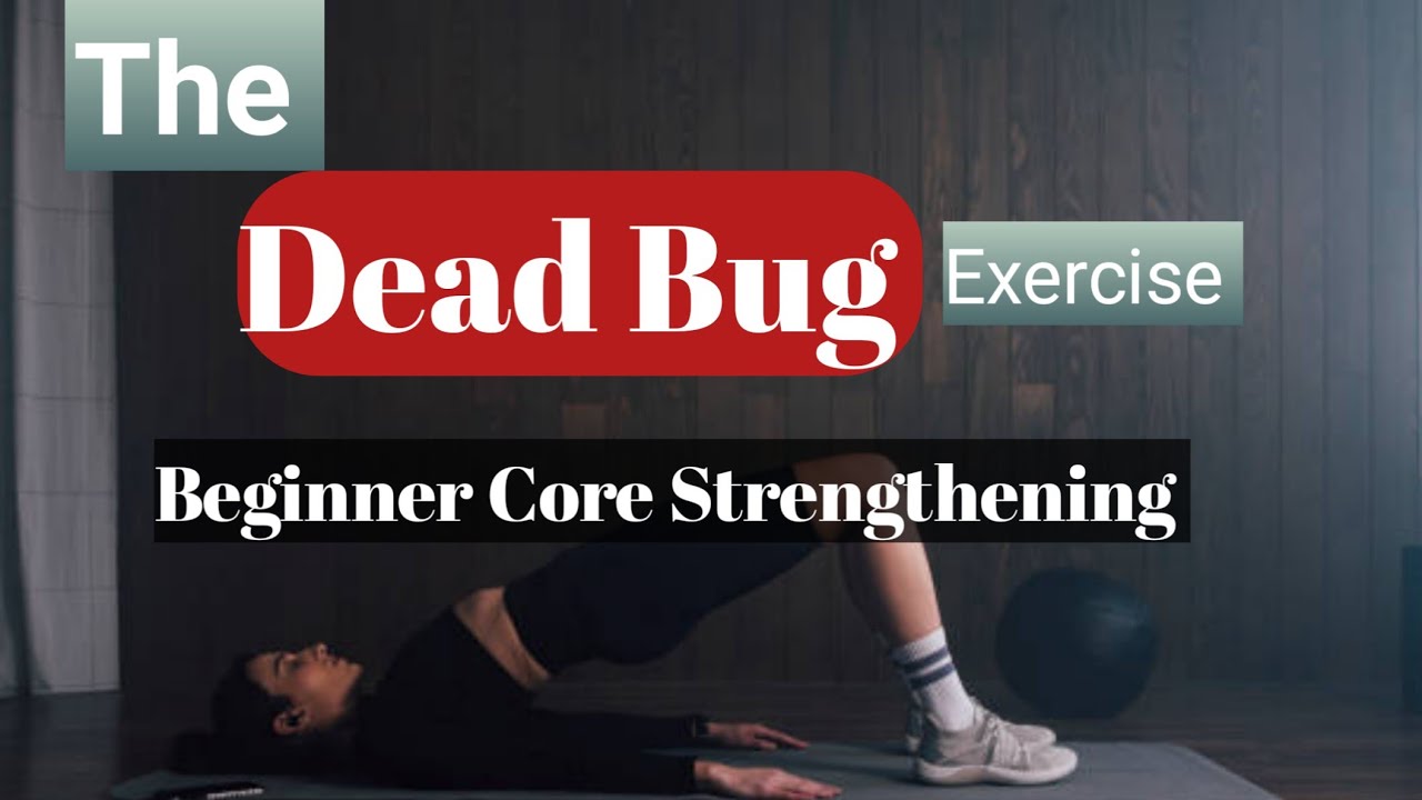 Core Exercise: Dead Bug- how to do the dead bug exercise- The Key to ...