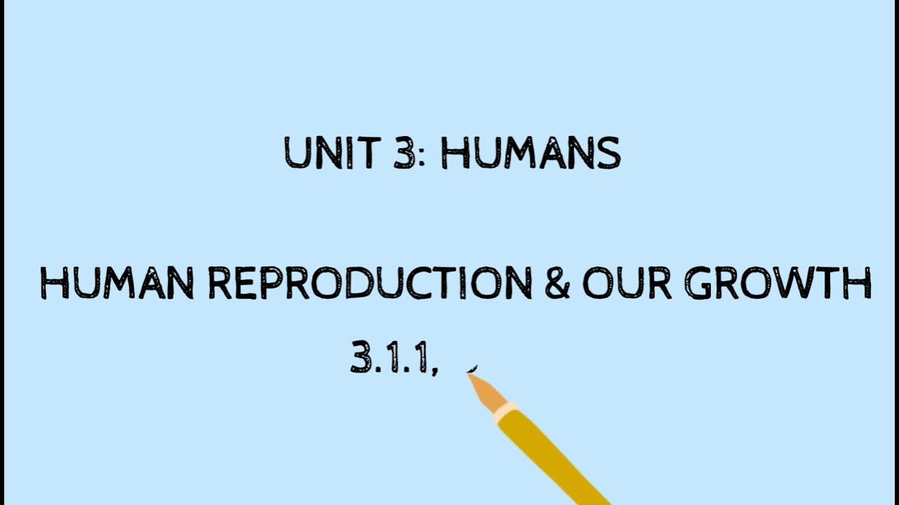 SCIENCE YEAR 2: HUMAN'S GROWTH - YouTube