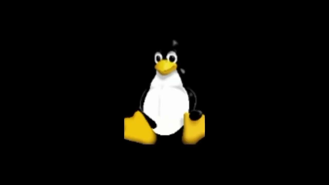 Tux Error mas o Tux vai crescendo tanto que aparece um desktop - YouTube