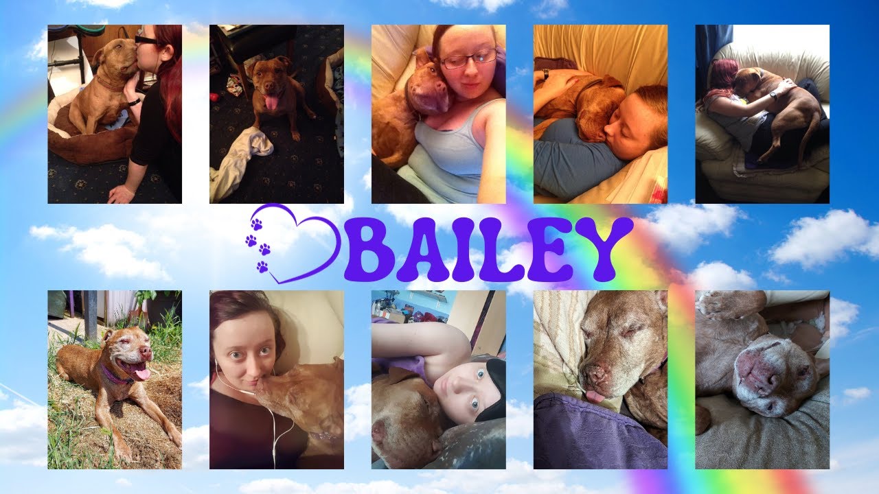 Bailey Tribute Video - YouTube