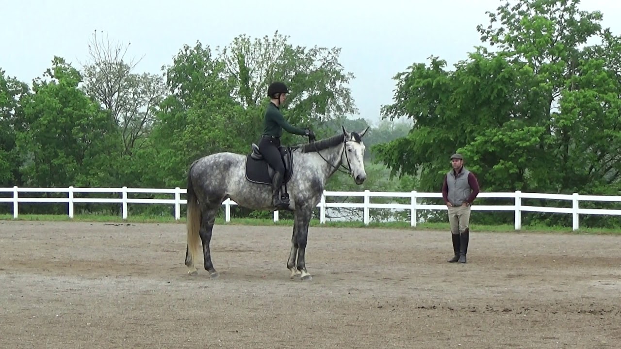 Introducing the Proper Reinback - YouTube