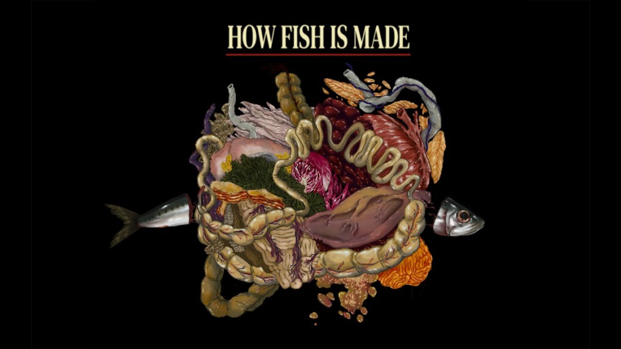 Do fish feel pain? - How Fish Is Made (Full Playthrough) - YouTube
