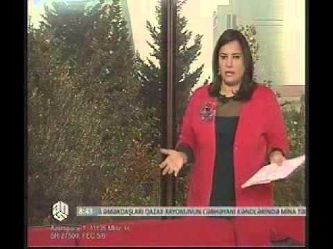 Salam Azərbaycan [08.11.2013 tam veriliş]