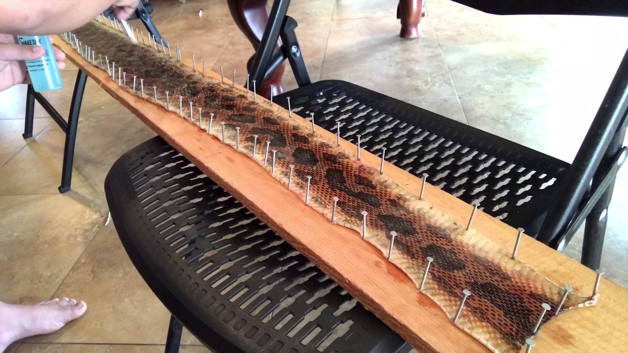 Stretching a snake and finishing part 2 of 2 - YouTube