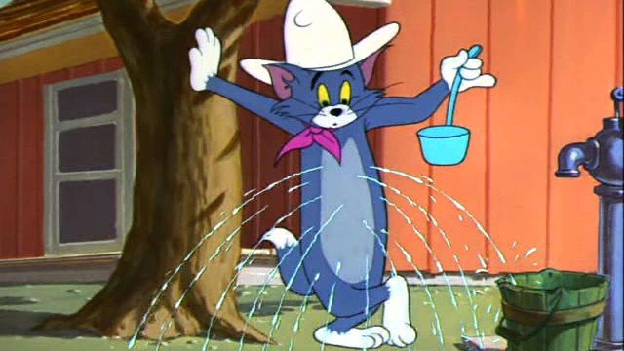 Posse Cat 1954 Tom and Jerry Cartoon Short Film | Review - YouTube