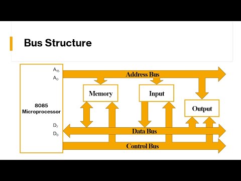 8085 Microprocessor - Bus Organization - YouTube