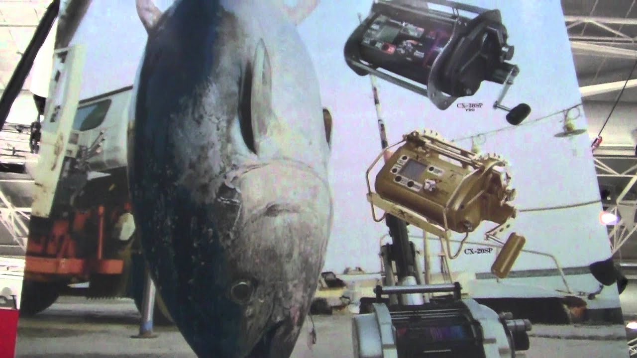 Miya-Epoch Fish Poster - YouTube