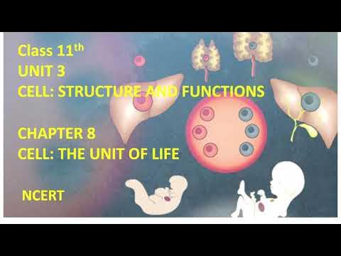 Class 11 Biology Unit 3 Cell structure & function | Chapter 8 cell unit of life| Prokaryotic ...