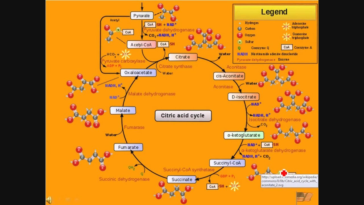 20141009 RSPT 2350 Module H - YouTube