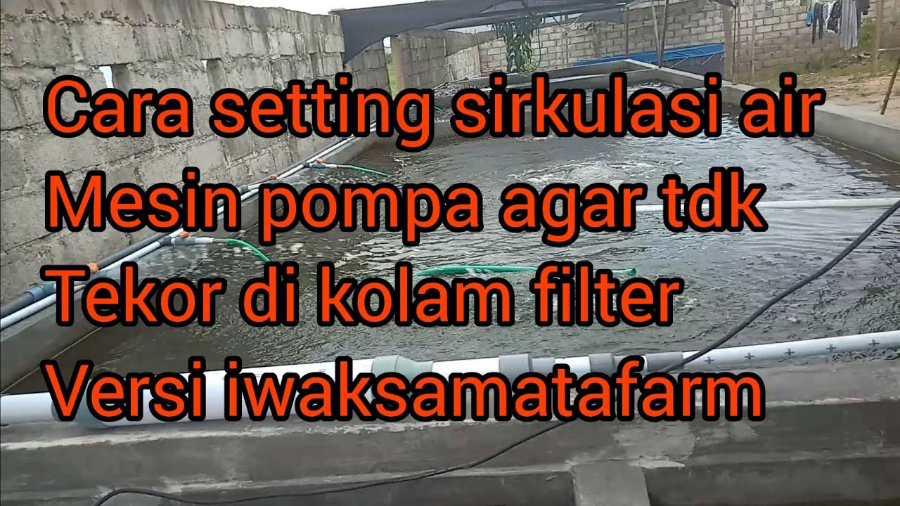 Cara setting sirkulasi air agar tidak tekor di kolam filter. Kolam ...