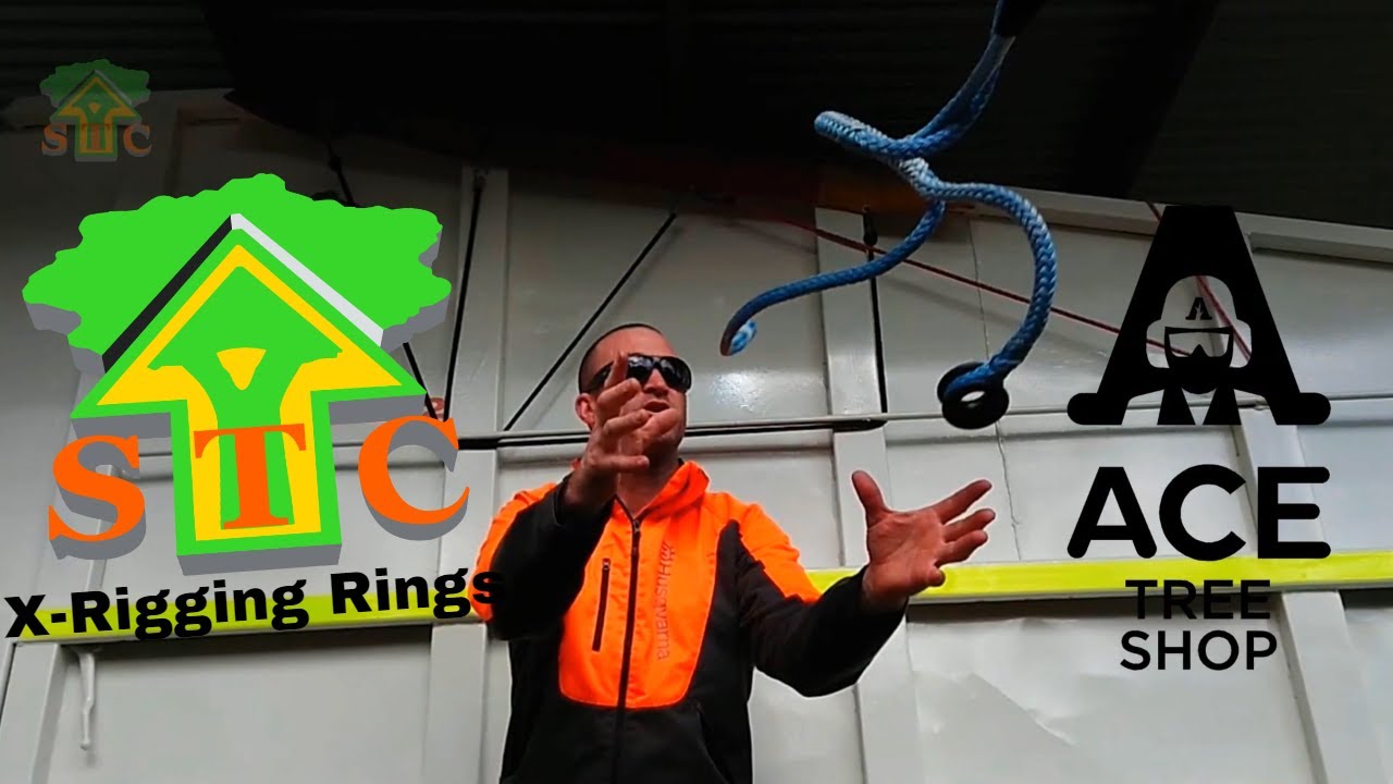 Tree Work Rosny, Tasmania X rigging Rings (Massive Tree Work) - YouTube
