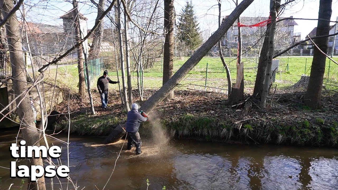 Manual Removing A Fallen And Hanging Tree From The River Bank - Time ...