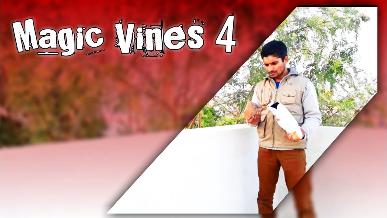 Magic Vines | Compilation |Magical unboxing | the Brand new magic 🔥#4 ...