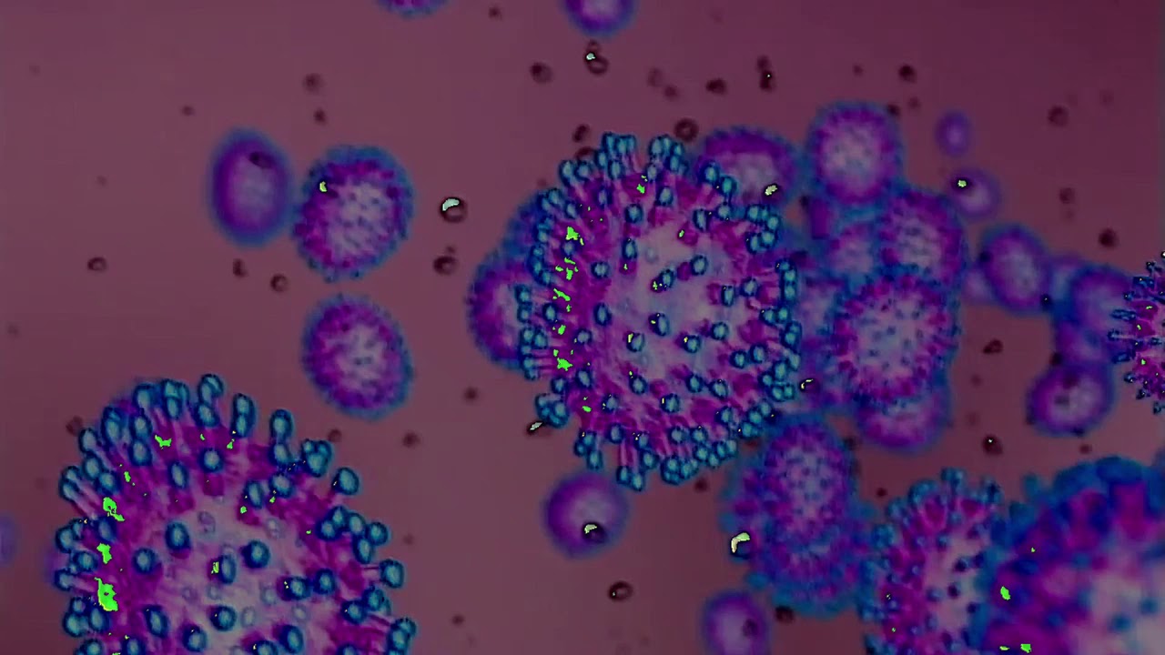 SARS - YouTube