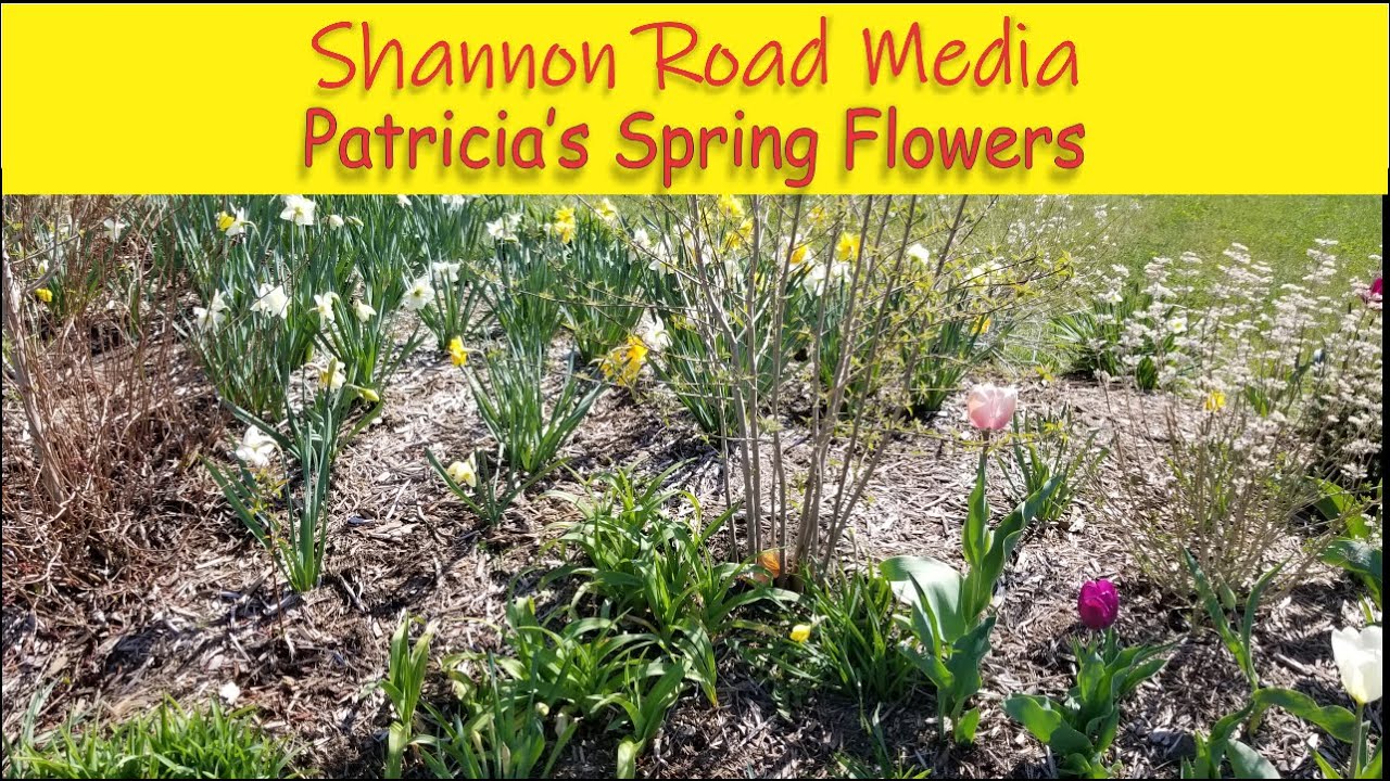 Pats Spring Flowers 2021 - YouTube