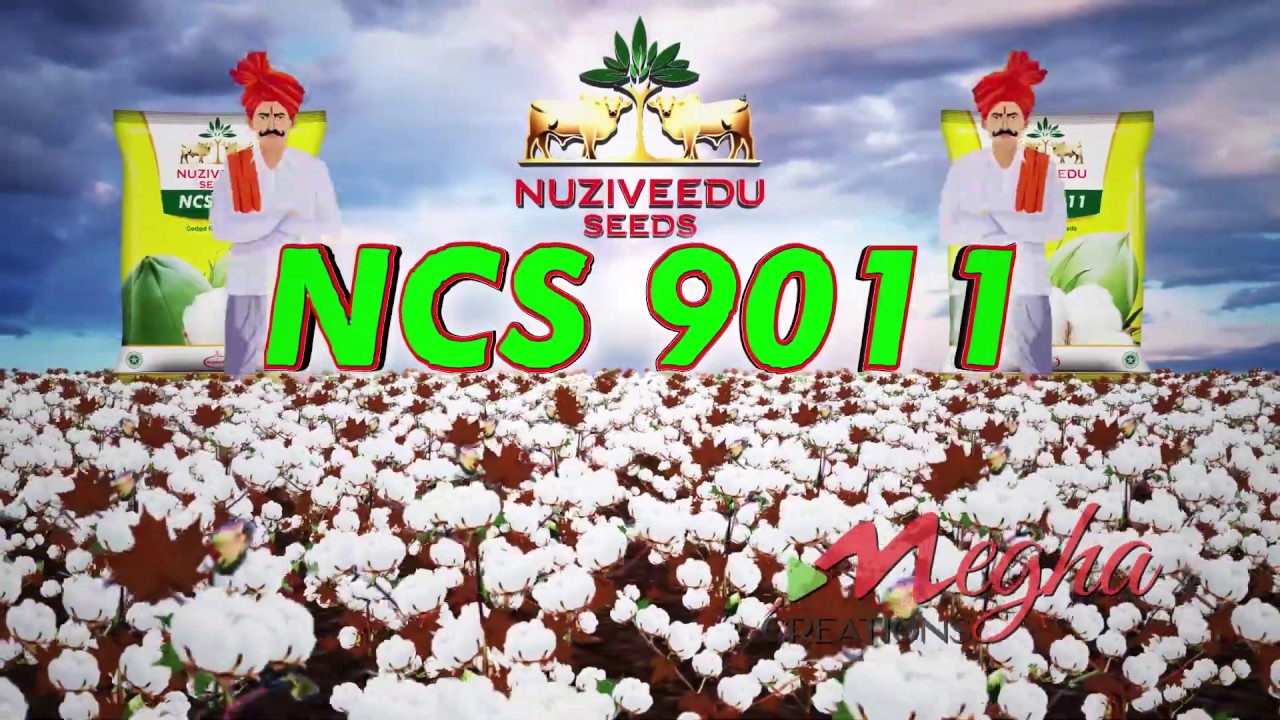 Nuziveedu Seeds Logo