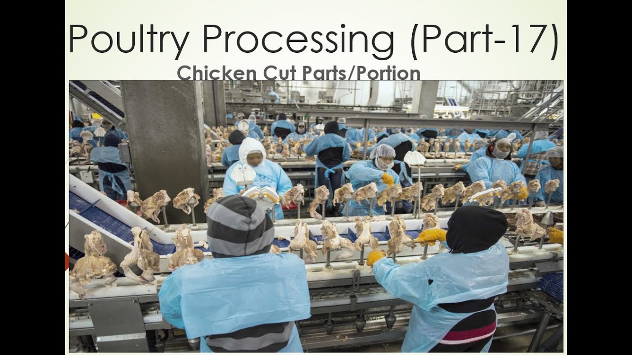 Part 17 PP Chicken Cut Parts/Different chicken cutting Techniques - YouTube