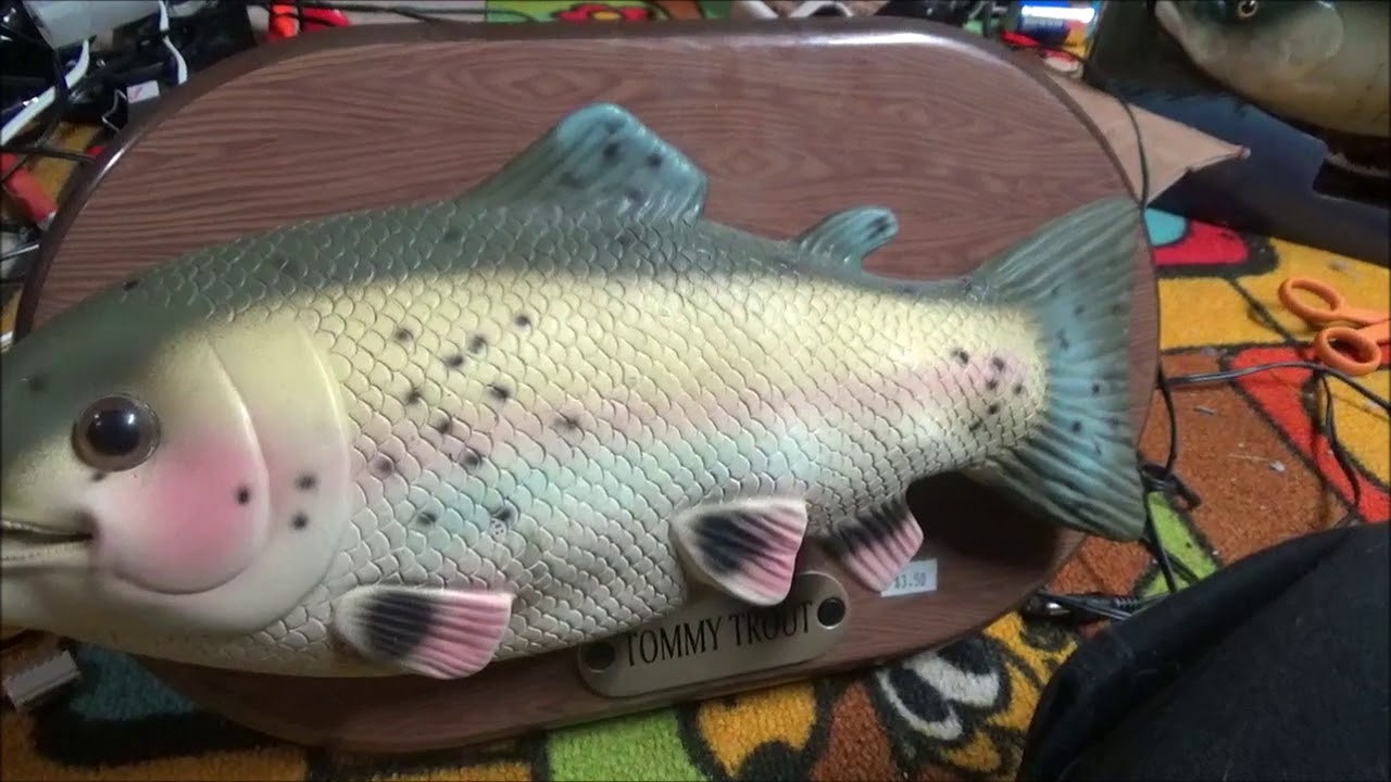 Animated Singing Tommy Trout - YouTube