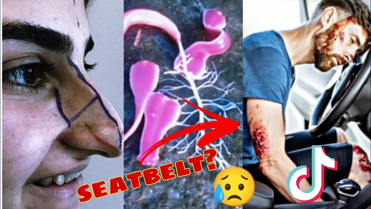 HOW THINGS ACTUALLY WORK | TIKTOK COMPILATION 🧐🧐😳😳 - YouTube