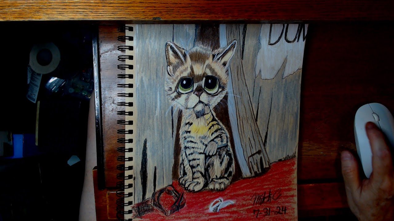 Draw Poor cat live at 10 pm - YouTube