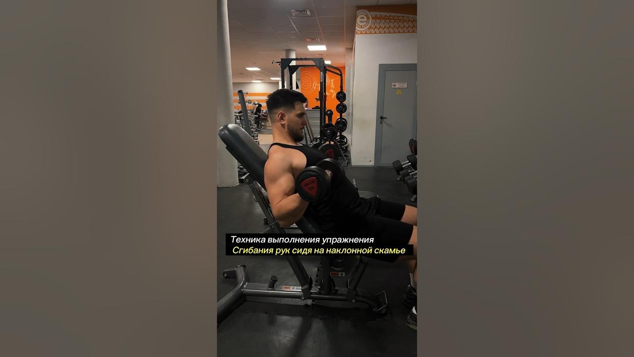 Сгибания рук с гантелями сидя на наклонной скамье Техника выполнения