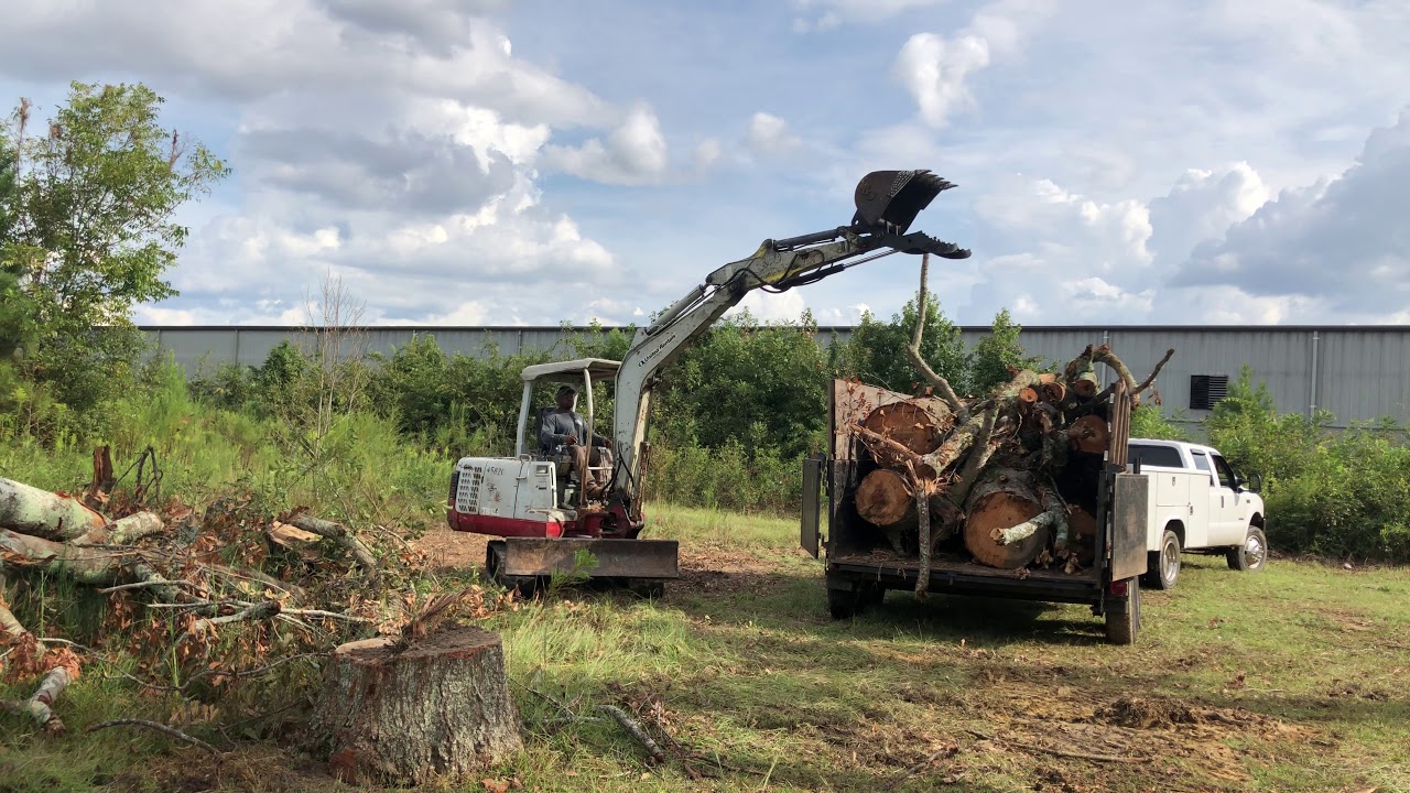 Loading Big Oak Wood With The Mini Excavator Part2 - YouTube