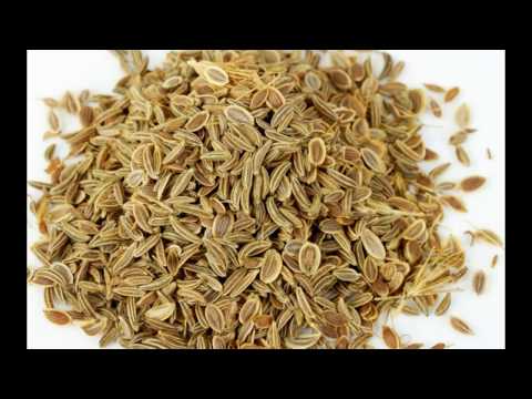Dill seeds egypt,dill seeds suppliers,egypt dill