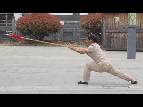 Wudang Kung Fu - Spear Form - Zhi Wu Qiang - YouTube