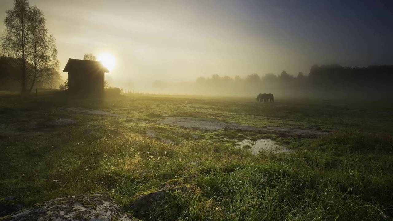 Satori Ray – Are You Still There, Brother? - YouTube Music