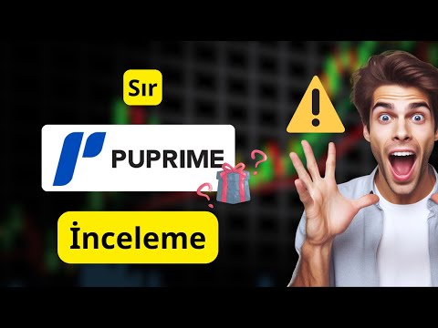 PU Prime İncelemesi: Brokerların Bilmenizi İstemediği Şok Edici Gerçek
