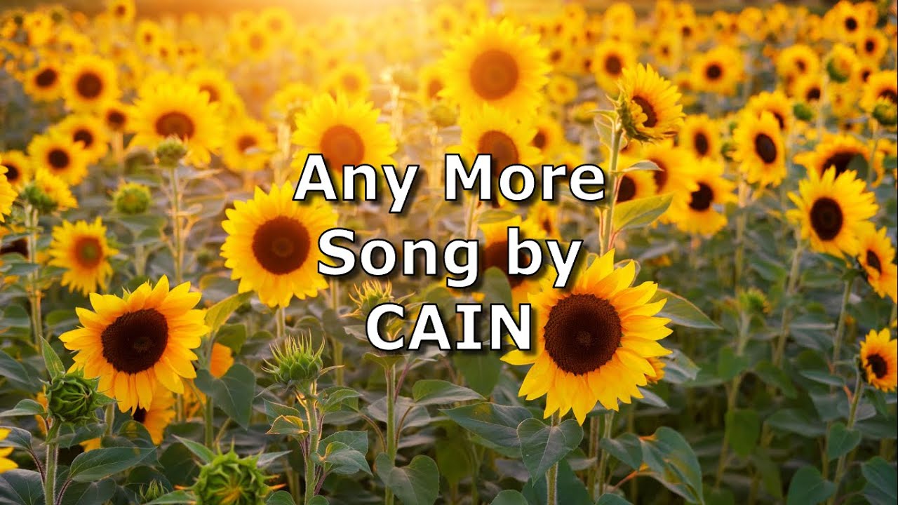 Any More - CAIN | Lyric Video - YouTube