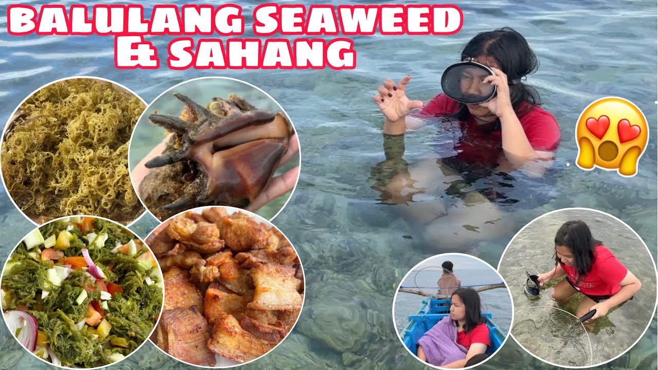 NAG ENJOY AKO SA PANGUNGUHA NG BALULANG AT SAHANG (SPIDER SHELL ...