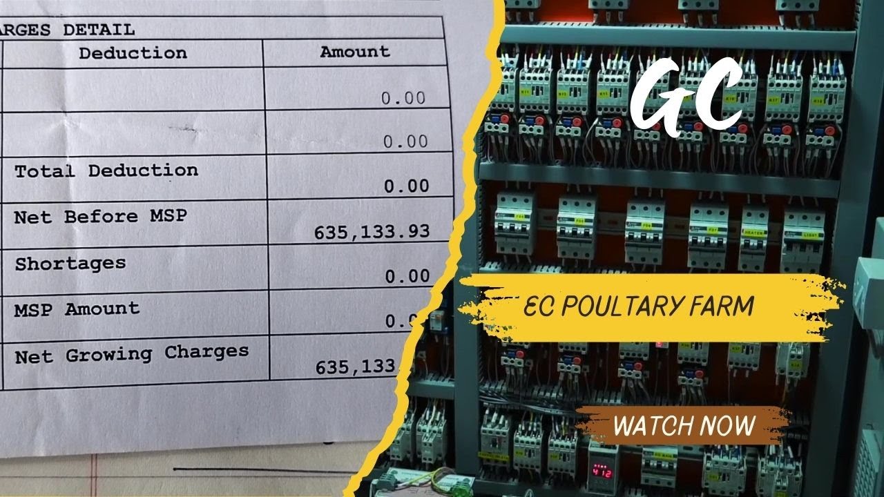 GC............... EC Poultary Farming - YouTube