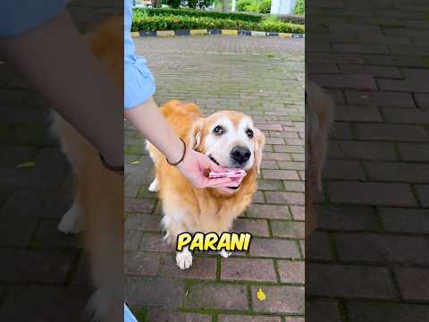 Limon Para Buluyor 🍋😱 #shorts