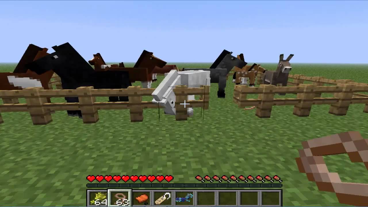 Guia Minecraft - Domar un caballo - - YouTube
